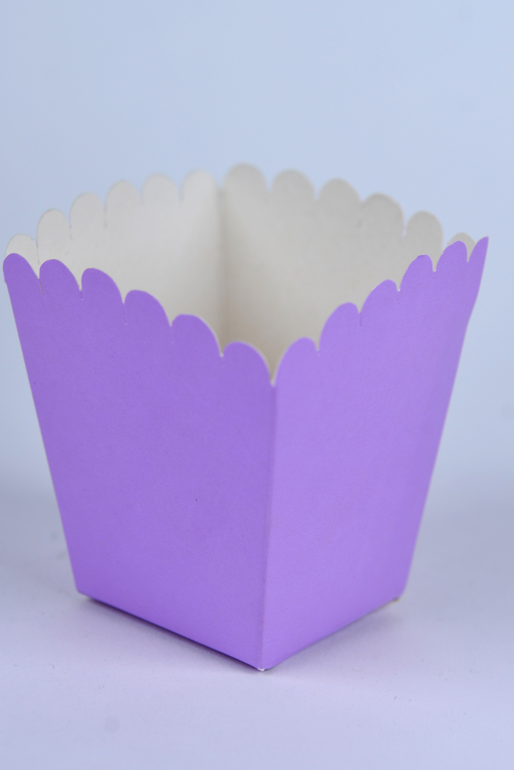 Caja Botanera Mini para Snacks, Dulces y Eventos – Paquete con 10 ...